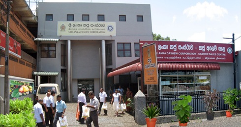 Cashew Corporation – Kaju.lk